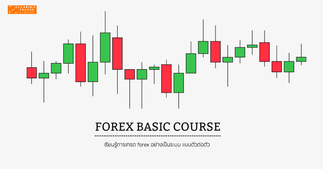 FOREX Basic Course | คอร์สออนไลน์ | SkillLane