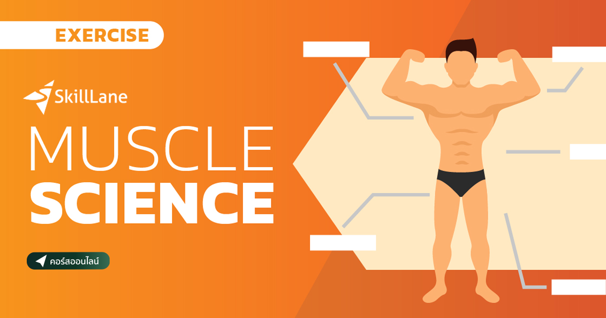Muscle Science | คอร์สออนไลน์ | SkillLane
