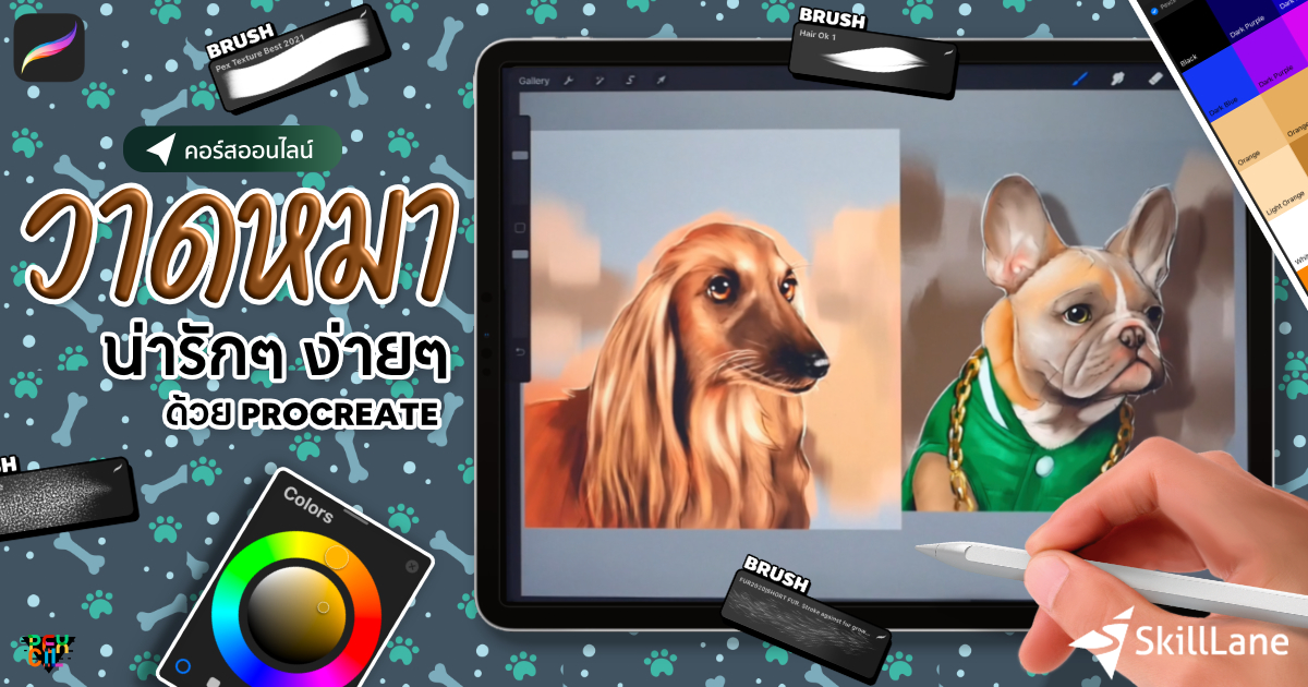 วาดน้องหมา ง่าย ๆ ด้วย Procreate | คอร์สออนไลน์ | SkillLane